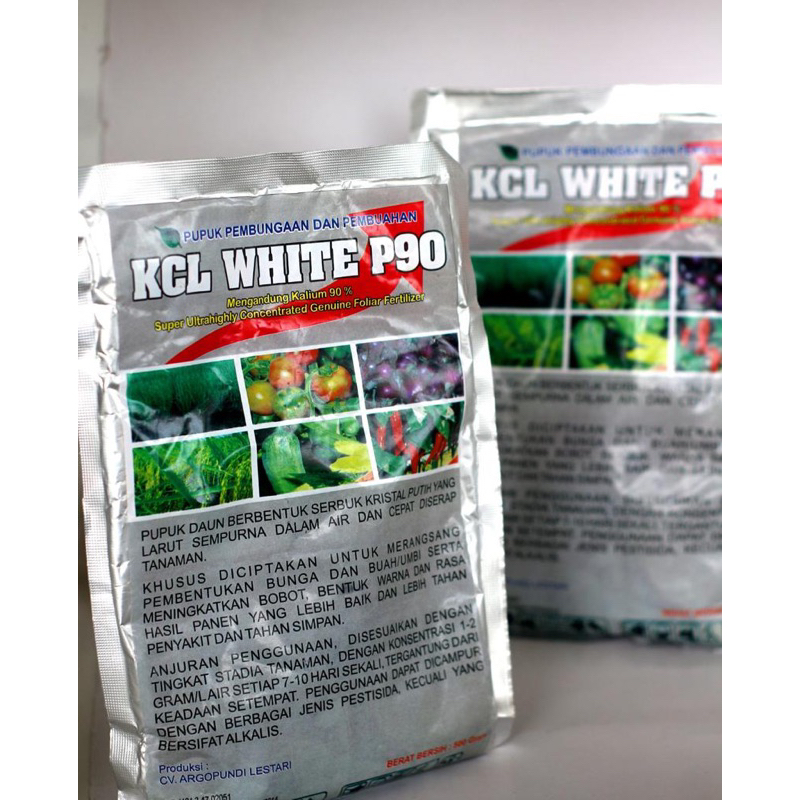 Jual KCL WHITE P90 100% ORIGINAL 500GRM PUPUK MEMPERBESAR BUAH & DAUN ...