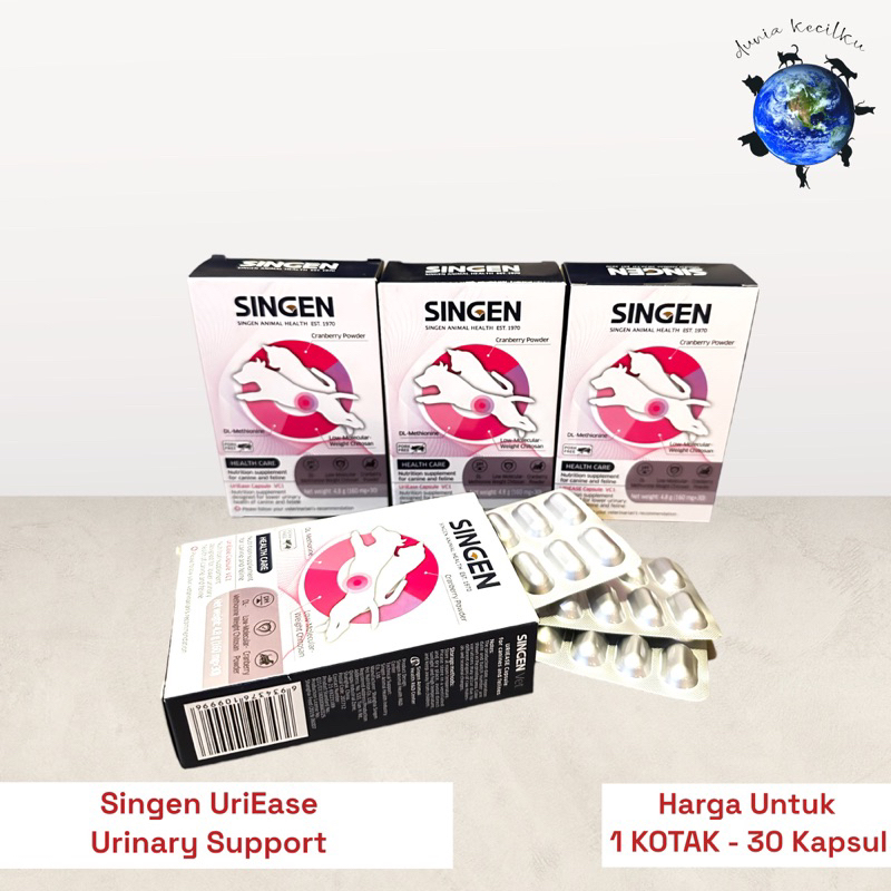 Jual Singen UriEase Kapsul Urinary - Atasi Susah Kencing / Kencing ...