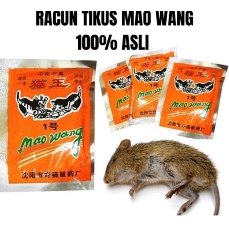 Jual Racun Tikus Mati Kering dan Gak Bau - Mao Wang Paling Ampuh ...