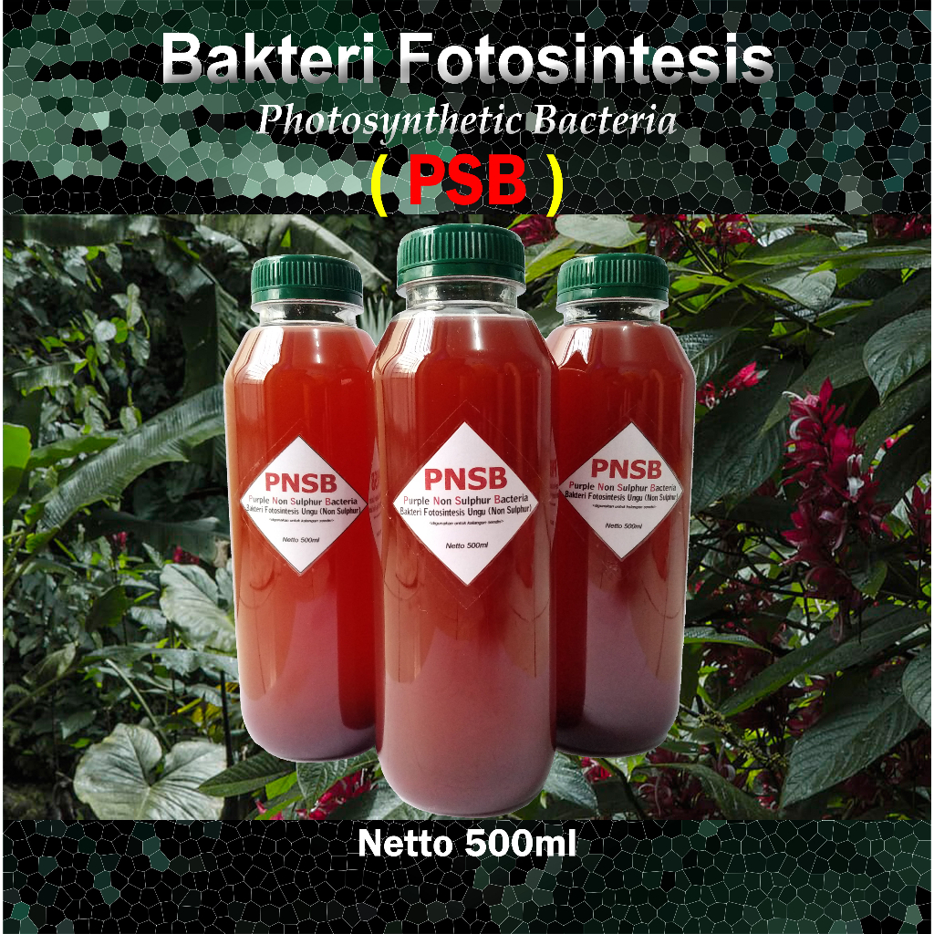 Jual Pupuk PSB Bakteri Fotosintesis Photosynthetic Bacteria PNSB 500 ml ...