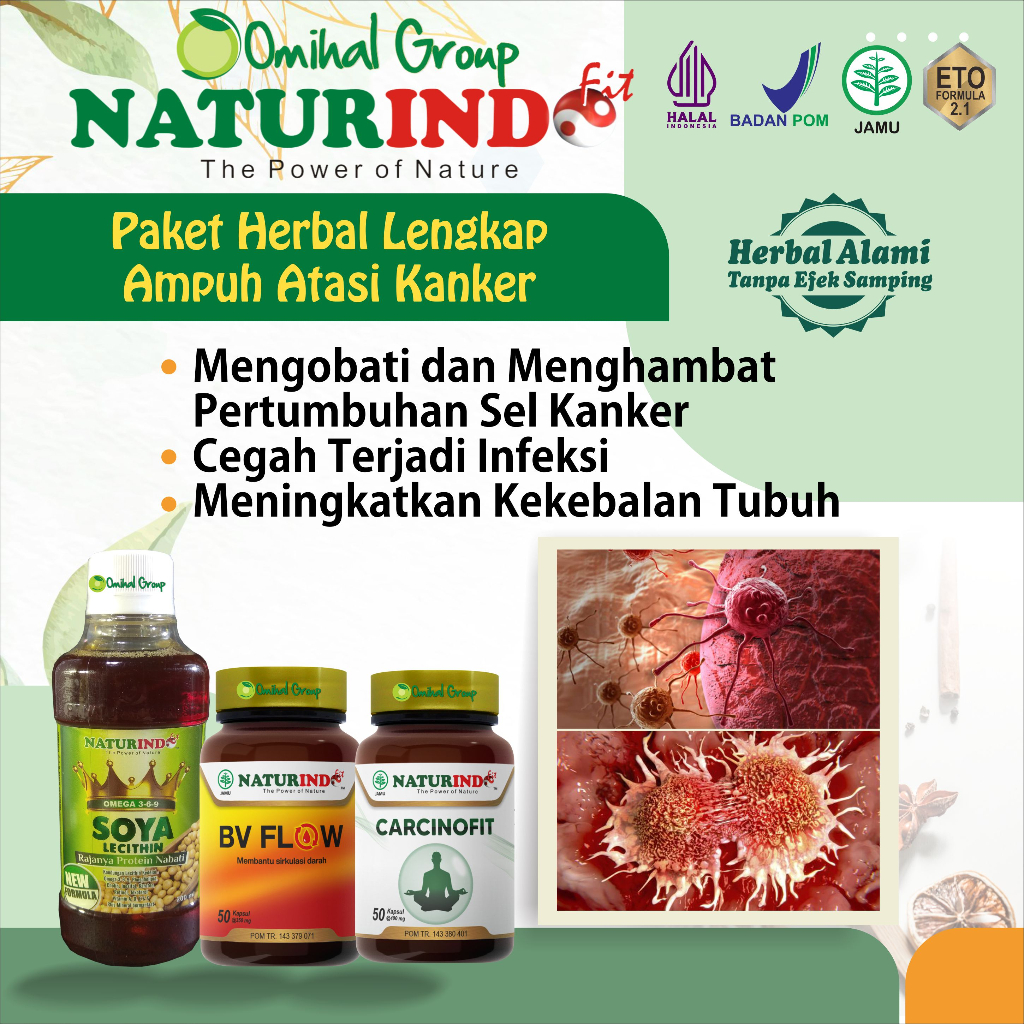 Jual Paket Lengkap Obat KANKER Tanpa Operasi Kemo Herbal Alami ...