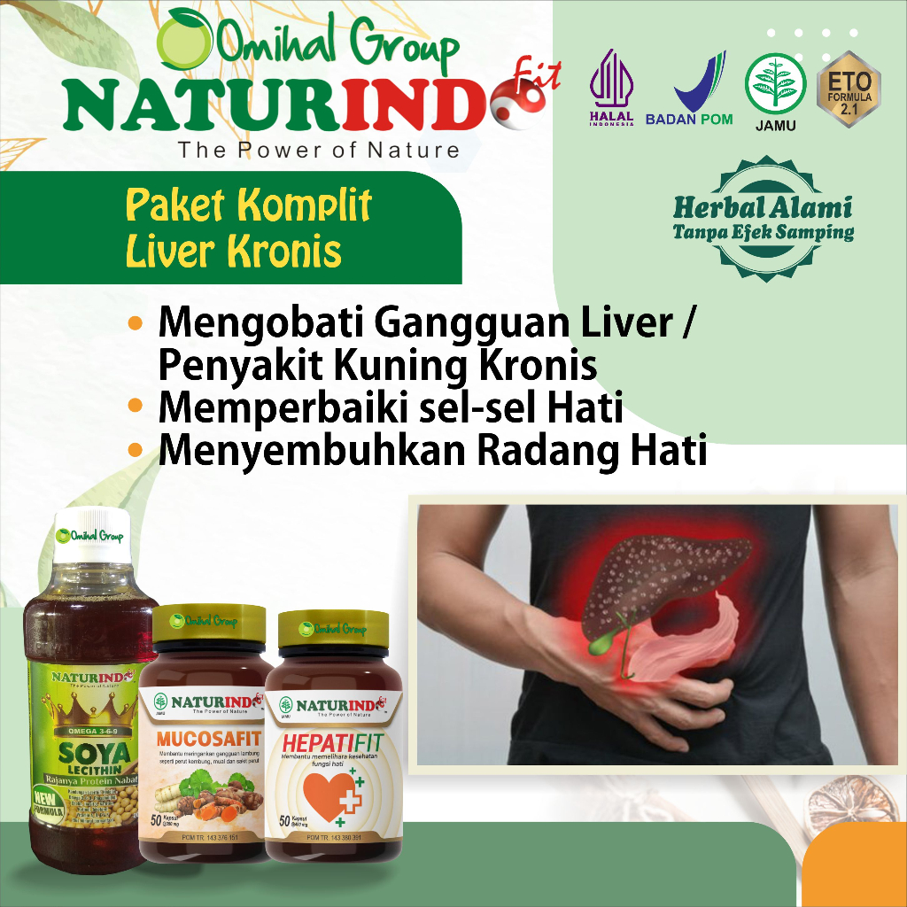 Jual Paket Komplit Obat Liver - Penyakit Kuning Hepatitis - Asam ...