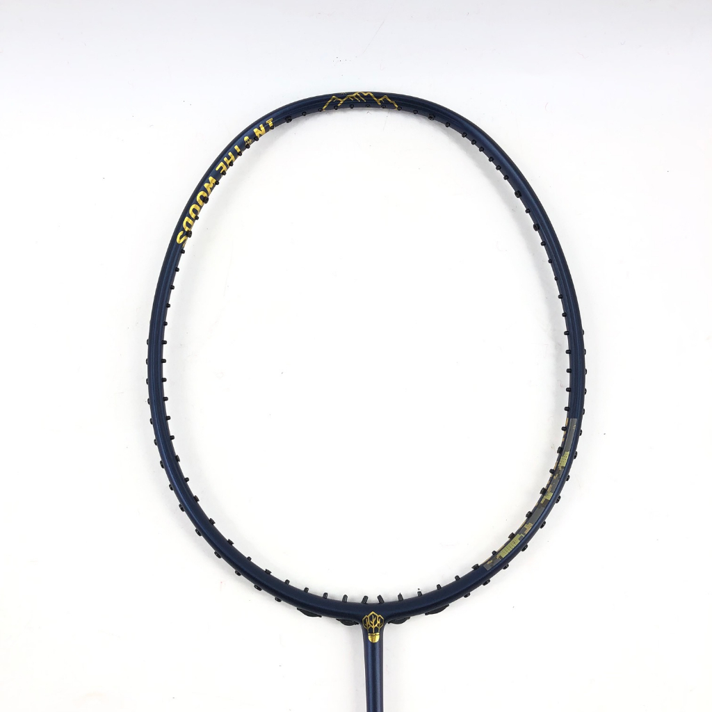 Jual RAKET BADMINTON LINING BLAZE 100 ORIGINAL | Shopee Indonesia