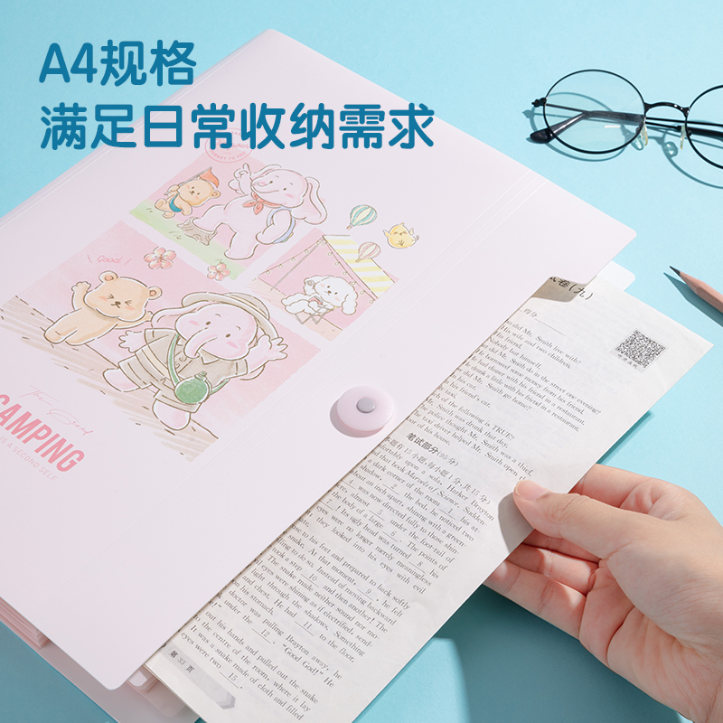 Jual Deli Map Dokumen Harmonika / Expanding File A4 Pink Biru PM303 | Shopee Indonesia