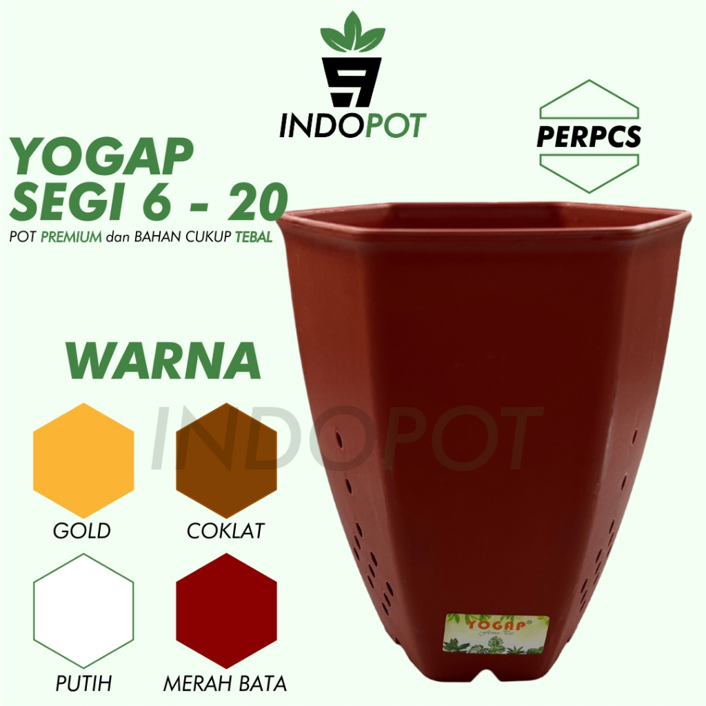 Jual Pot Yogap Segi 6-20 Pot Bunga Tanaman Hias Pot Segi Pot Bunga ...