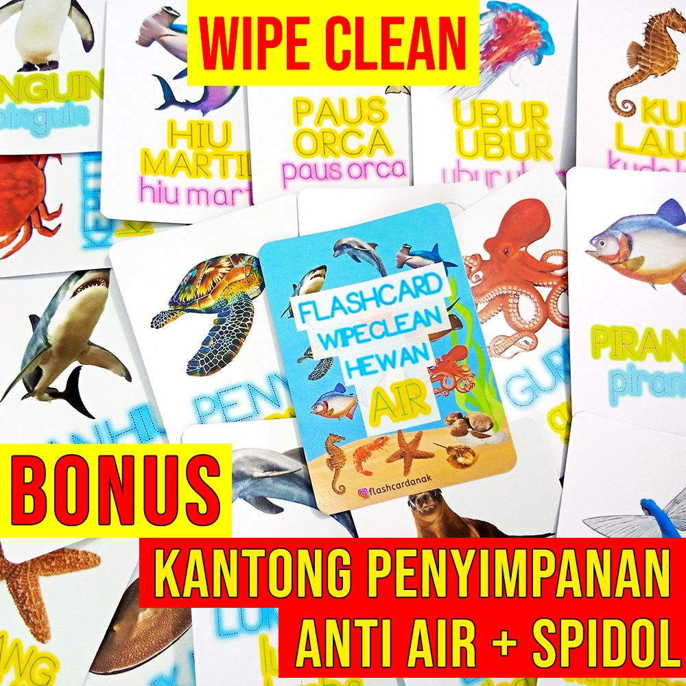 Jual Kartu Edukasi Flash Card Edukasi Wipe Clean Mengenal Hewan Hidup ...