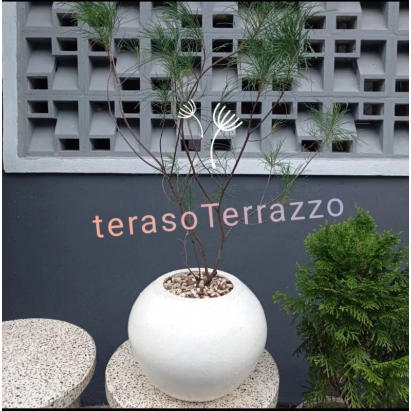 Jual Model Bola Polos Pot Teraso Terazzo | Shopee Indonesia