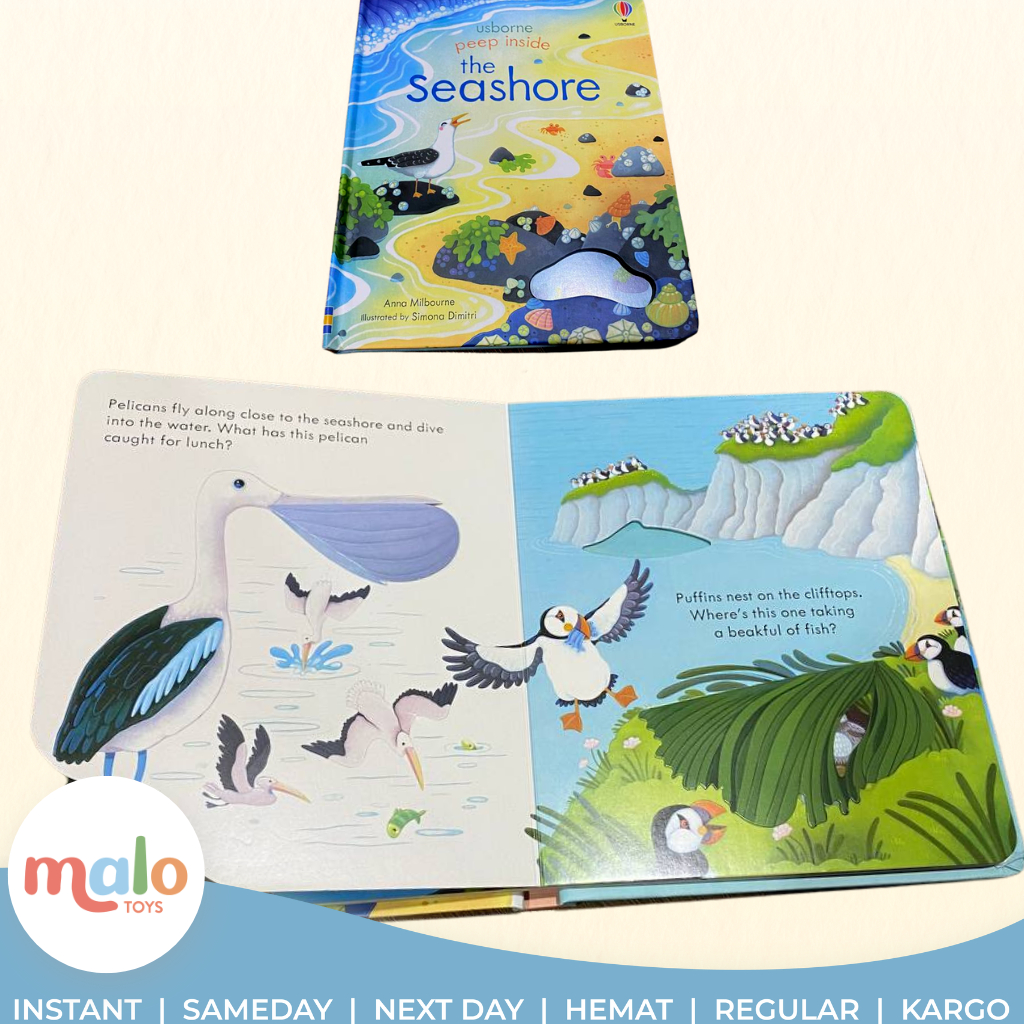 Jual MALOTOYS - USBORNE PEEP INSIDE Lift the Flap LTF Buku Edukasi ...