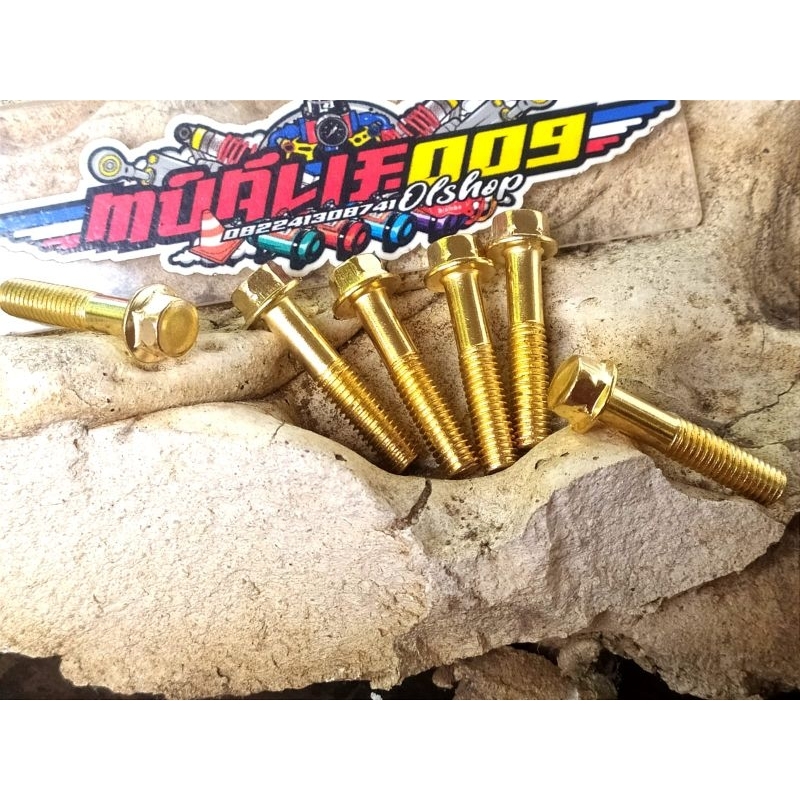 Jual Baut Blok Mesin Flange Bolt 6x30 Kunci 8 GOLD Diameter ulir: 6 mm ...