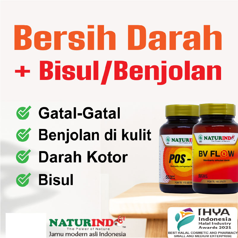 Jual Obat Bersih Darah Manis Kotor Jerawat Prurigo Herbal Kapsida ...