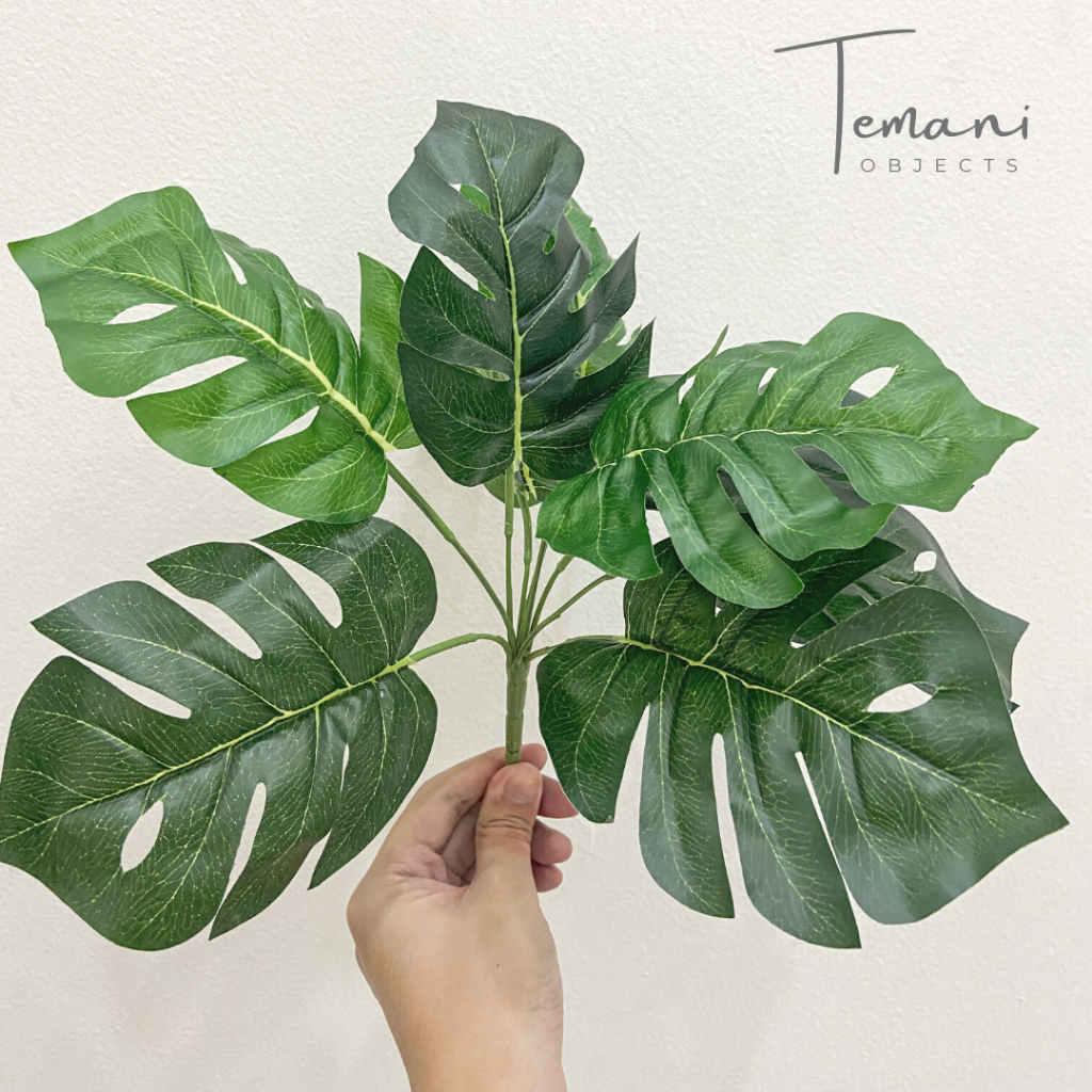Jual Tanaman Artifical Hijau /Bunga Kering Dried Flower / Monstera Leaf ...