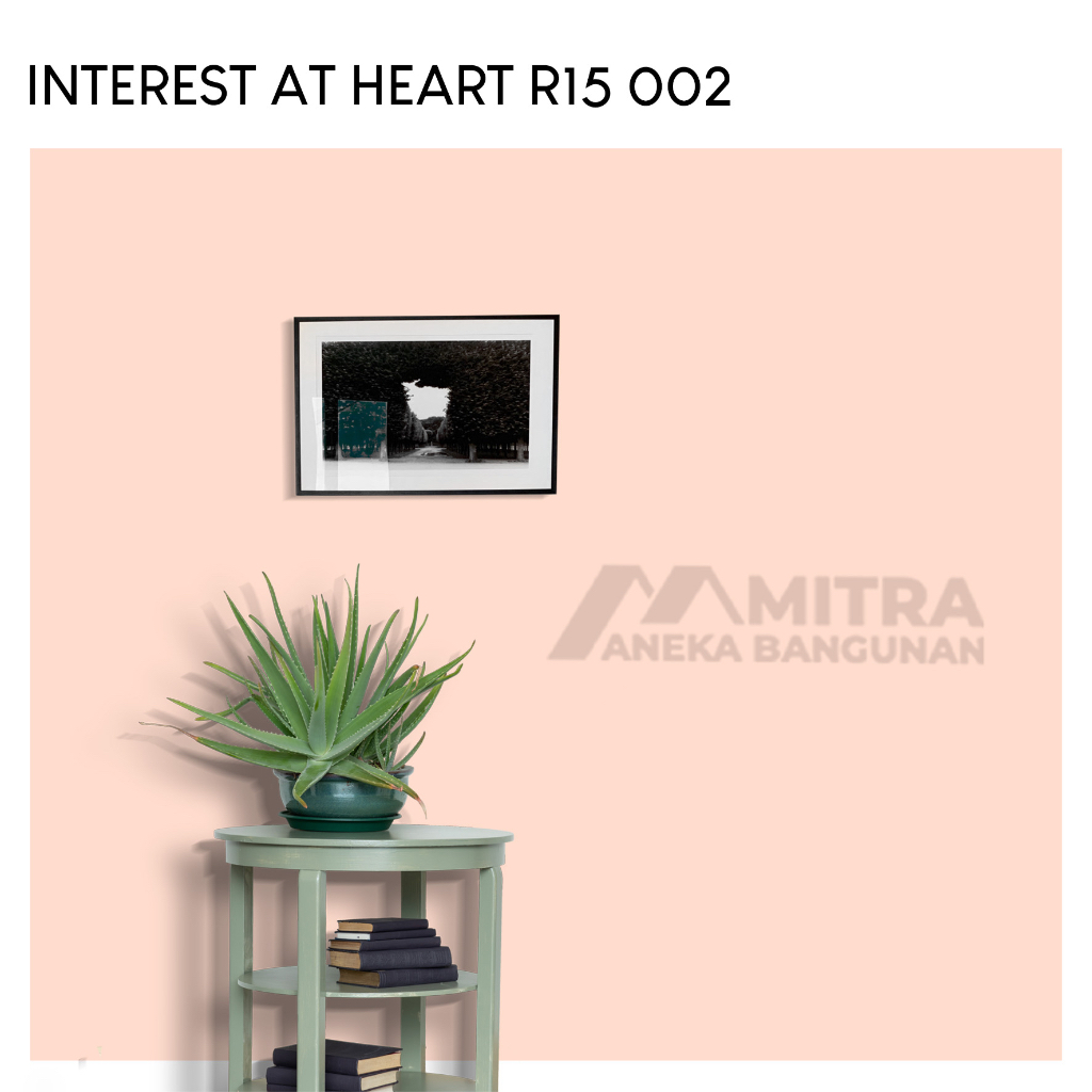 Jual CAT TEMBOK AVITEX INTERIOR 25 KG PAIL / AVIAN BISA REQUEST CUSTOM WARNA TINTING | Shopee ...