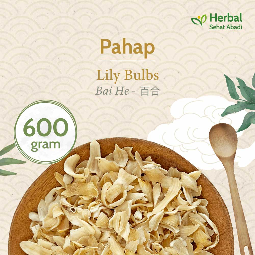 Jual Bai He 600 gram / Pahap / Lily Bulb / Pek hap | Shopee Indonesia