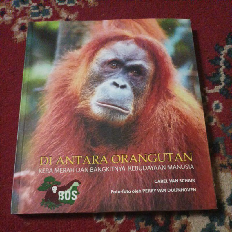 Jual Buku Fauna : Di Antara Orangutan : Kera Merah dan Bangkitnya ...