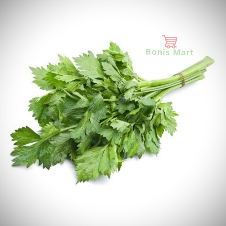Jual Daun Seledri Atau Daun Sop Segar Dan Fress 1 Ikat. | Shopee Indonesia