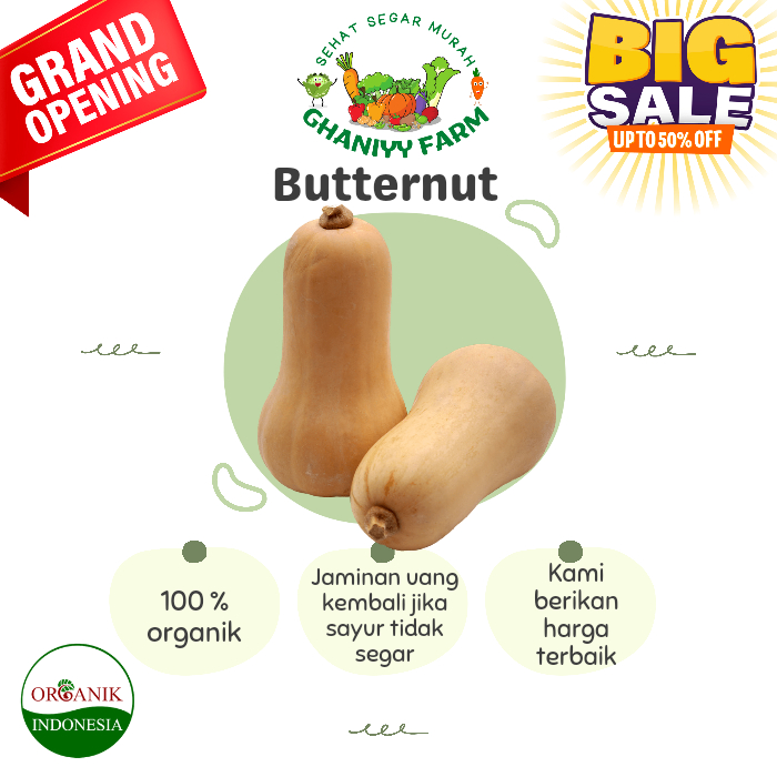 Jual Sayur Organik Lokal Butternut Pumpkin Labu Madu Manis Fresh Segar ...