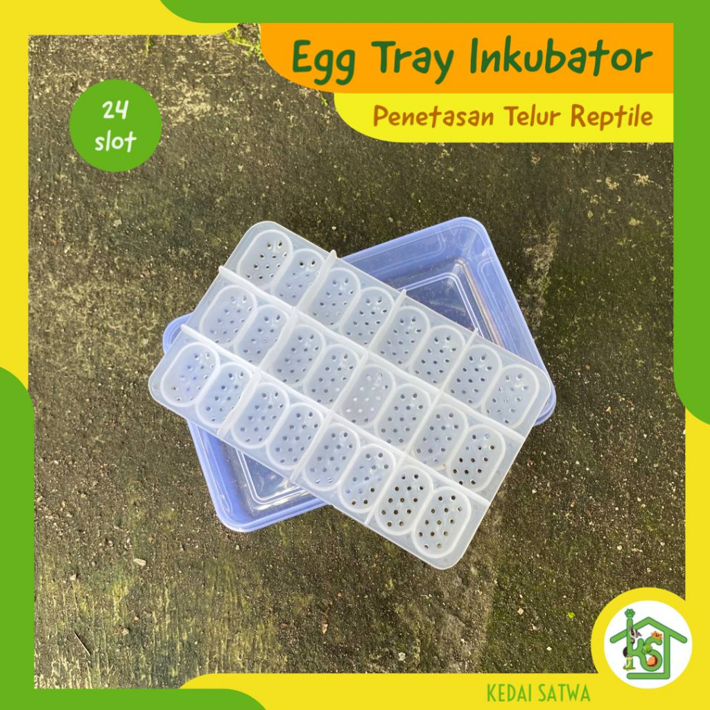 Jual Egg Tray Box Inkubator Telur Gecko Reptile | Incubator | Penetasan ...