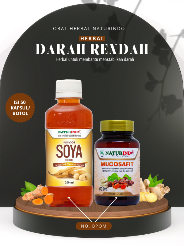 Jual Obat Herbal Tensi Tekanan Darah Rendah Hipotensi Hypotensi Sakit ...