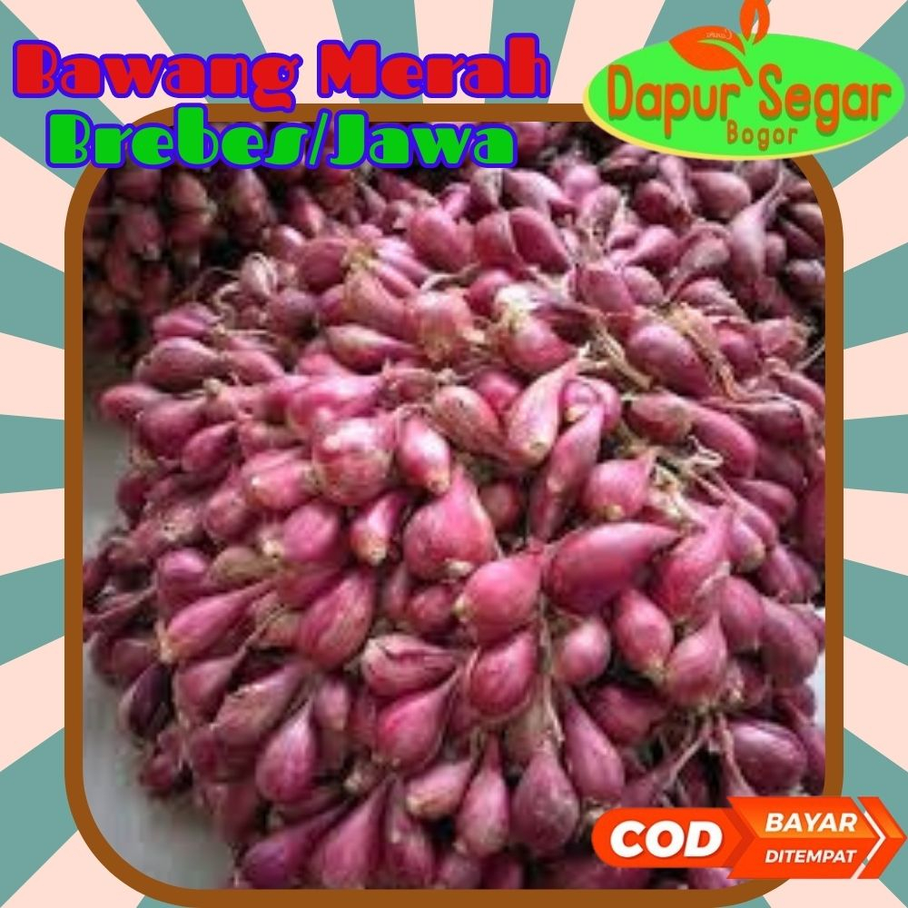 Jual bawang merah brebes jawa super original 1kg | Shopee Indonesia