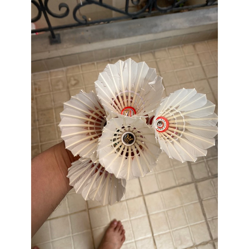 Jual shuttlecock cock kok bekas siap pakai (merk campur) | Shopee Indonesia