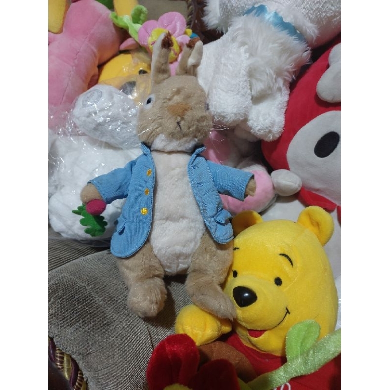 Jual Boneka Peter Rabbit Original Brand Beatrix Potter Ready Stock ...