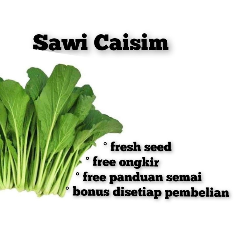 Jual Benih Sawi Caisim Shinta Manis Cap Panah Merah Bibit Tanaman ...