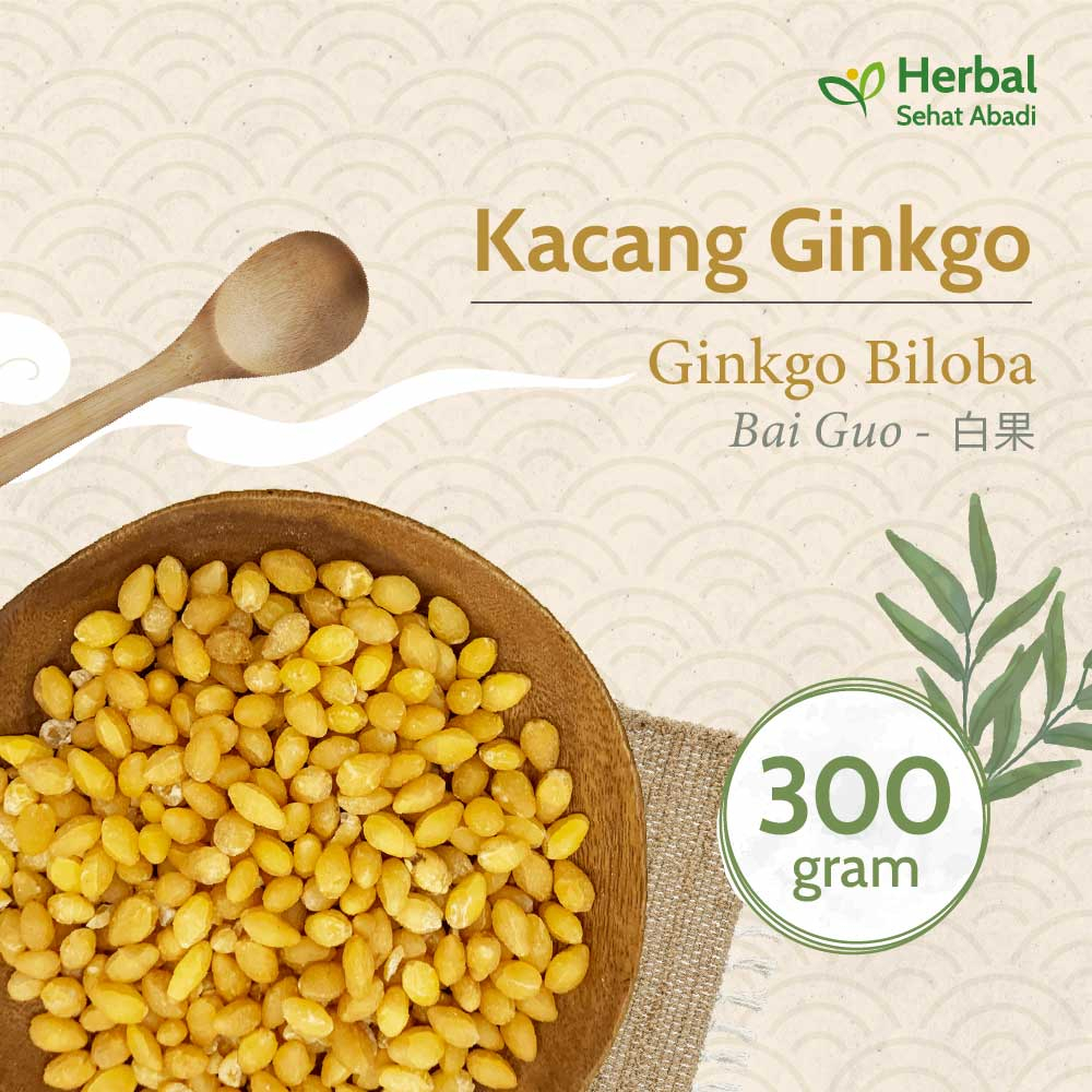 Jual Ginkgo Nut Mentah 300 gram / Bai Guo / Ginkgo Biloba / Ginko ...