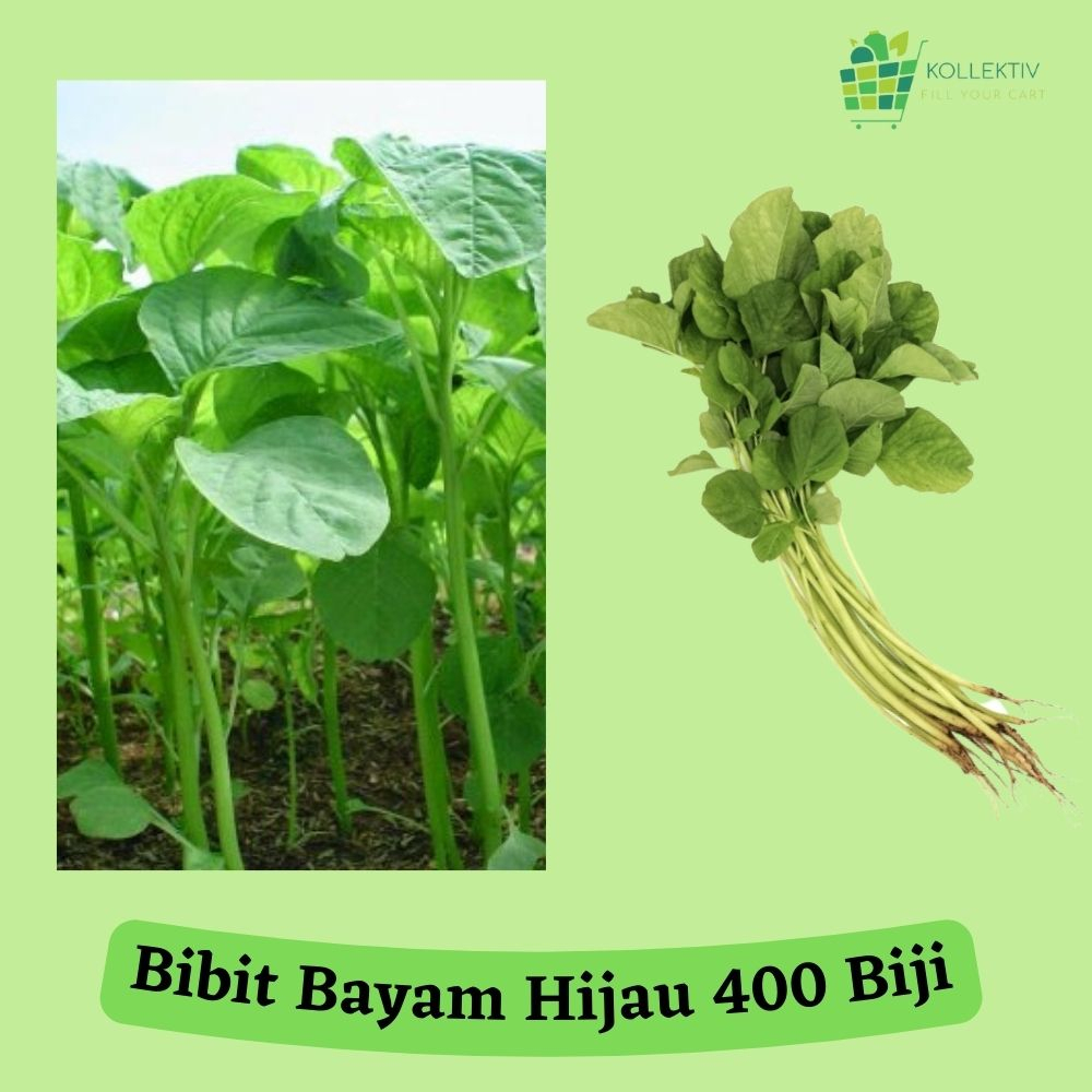 Jual Bibit Bayam Hijau / Benih Sayuran | Shopee Indonesia