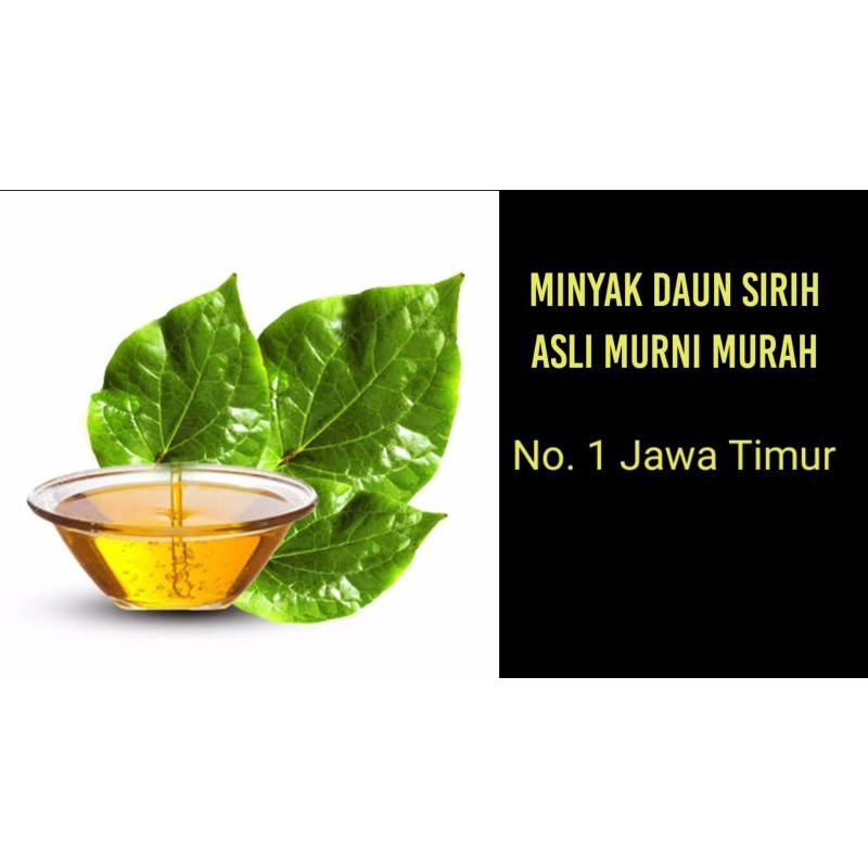 Jual minyak daun siri 250ml | Shopee Indonesia