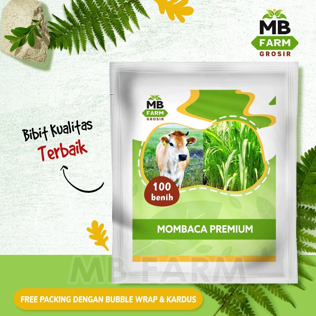 Jual Benih mombaca super F1 isi benih 100 biji MB FARM GROSIR / Bibit ...