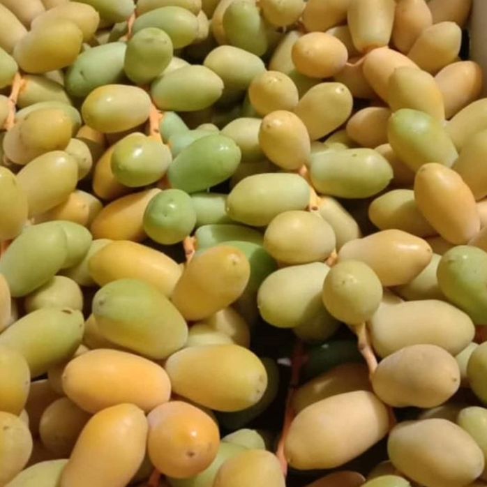 Jual Kurma Muda Promil 110 Gram Kurma Rutob Siwi Segar Bukan Frozen ...