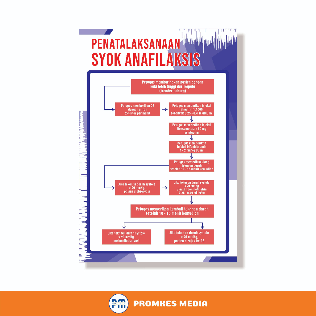 Jual Poster Kesehatan, Poster Syok Anafilaksis, Syok, Gadar | Shopee ...