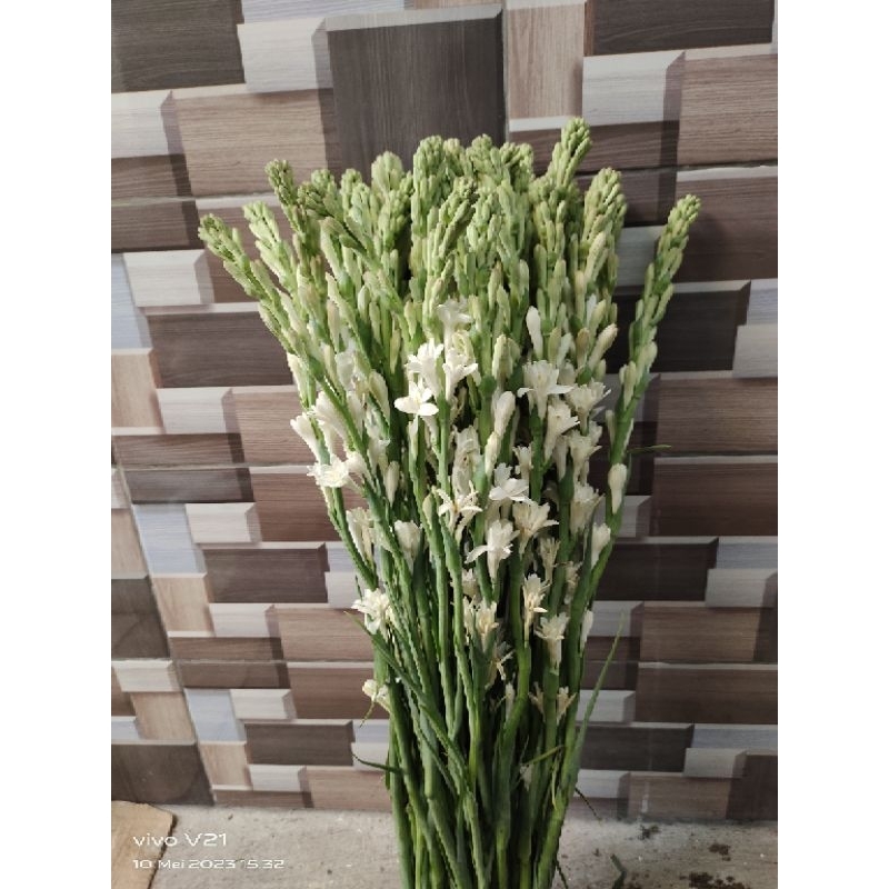 Jual bunga sedap malam satu iket isi 10 tangkai | Shopee Indonesia