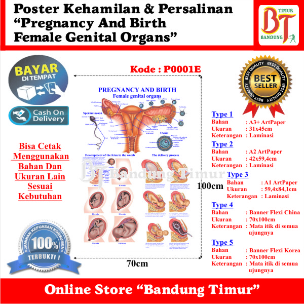Jual POSTER KEHAMILAN DAN PERSALINAN PREGNANCY AND BIRTH FEMALE GENITAL ...