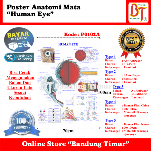 Jual POSTER ANATOMI MATA THE HUMAN EYE | Shopee Indonesia