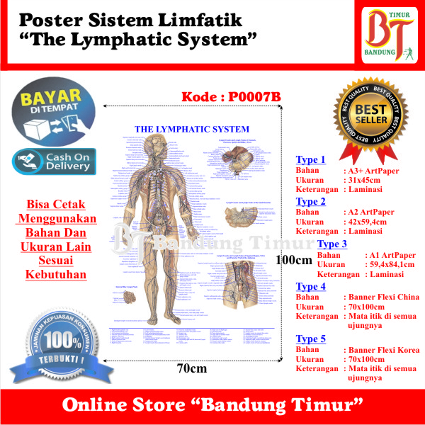 Jual POSTER SISTEM LIMFATIK THE LYMPHATIC SYSTEM | Shopee Indonesia