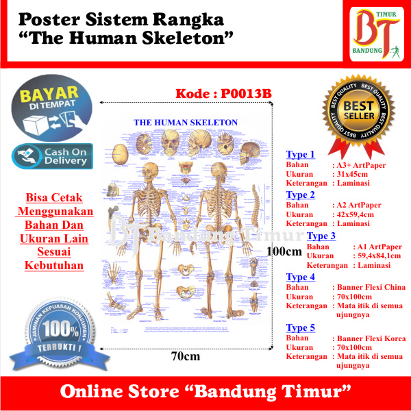 Jual POSTER SISTEM RANGKA - THE HUMAN SKELETON | Shopee Indonesia