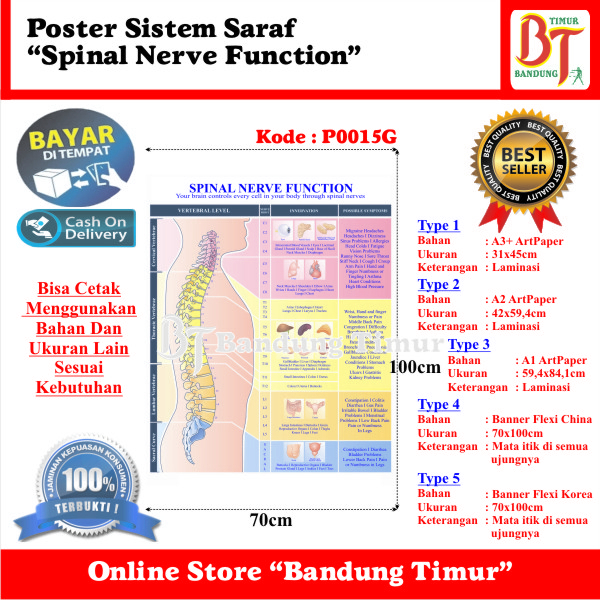 Jual POSTER SISTEM SARAF SPINAL NERVE FUNCTION | Shopee Indonesia