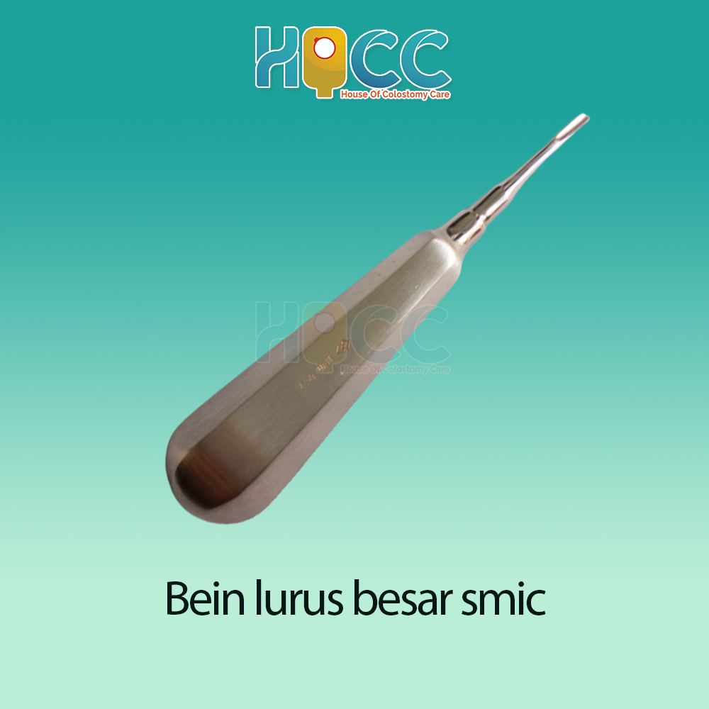 Jual Bein Lurus Besar SMIC | Shopee Indonesia