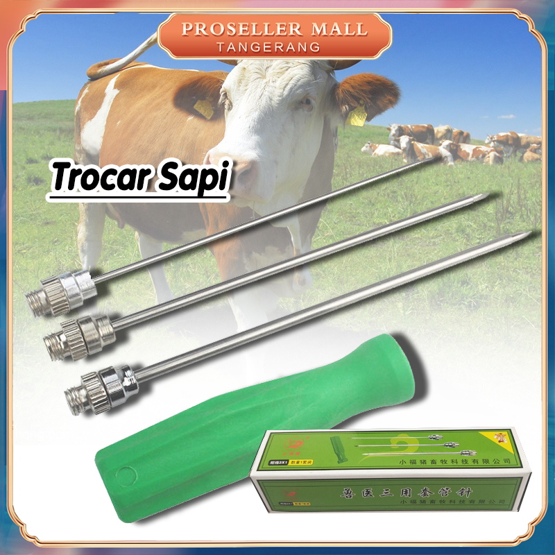 Jual Trocar Sapi Kambing Domba Universal - Alat Penghilang Kembung Pada ...