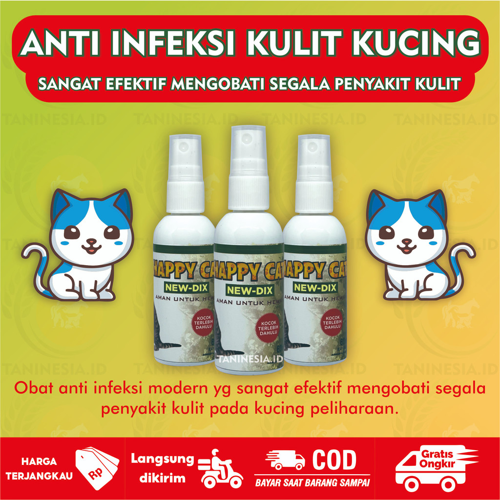 Jual OBAT JAMUR OBAT INFEKSI KULIT KUCING ANTI KUTU SCABIES DEMODEX ...