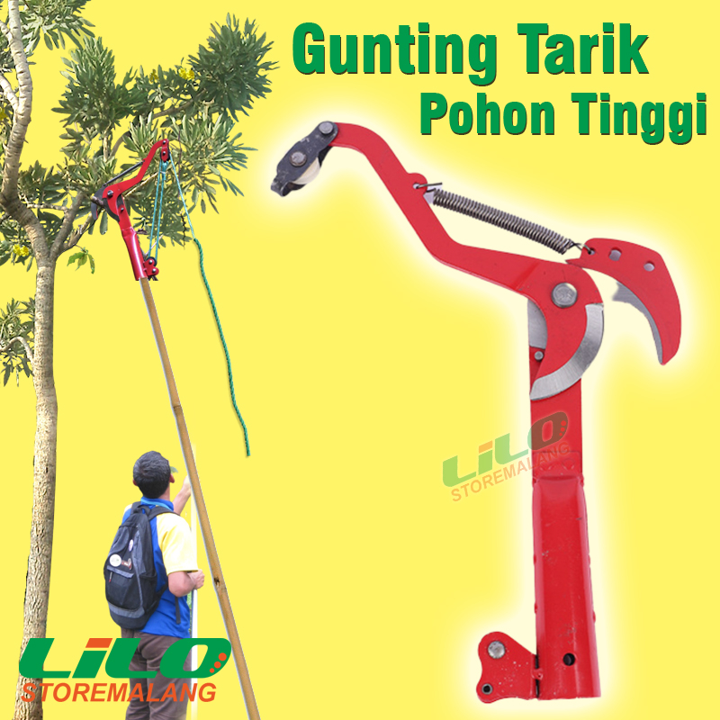 Jual Gunting Alat Potong Tarik Cabang Dahan Ranting Pohon Buah Tinggi Gagang Panjang | Shopee ...