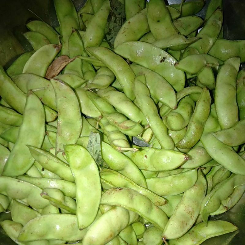 Jual SAYUR KACANG ROAY KRATOK | Shopee Indonesia