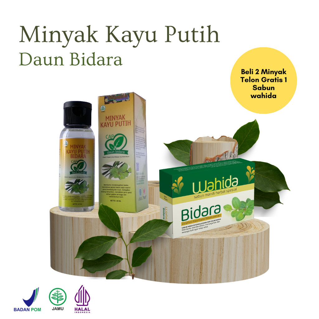 Jual Minyak Kayu Putih Cap Daun Bidara Membantu atasi Masuk angin dan ...