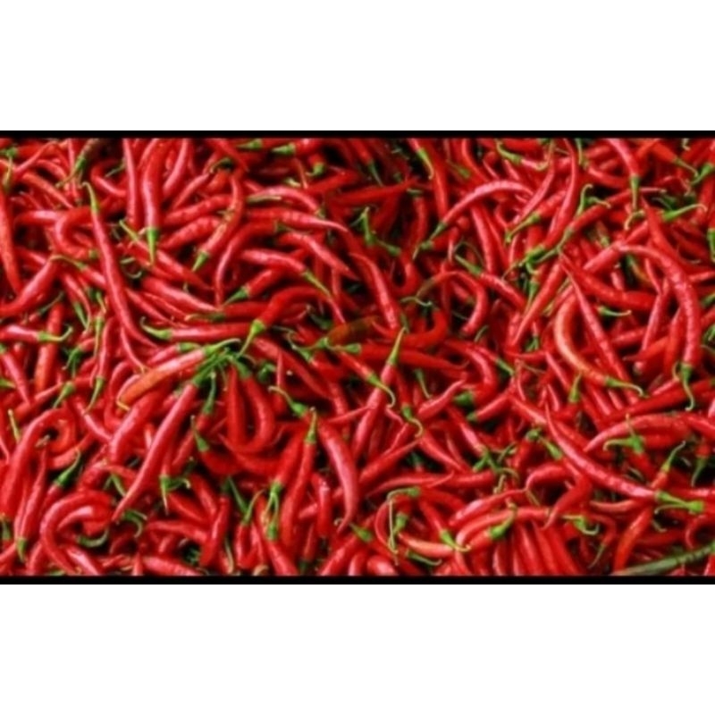 Jual Paket Cabe Merah Dan Hijau Campur Shopee Indonesia