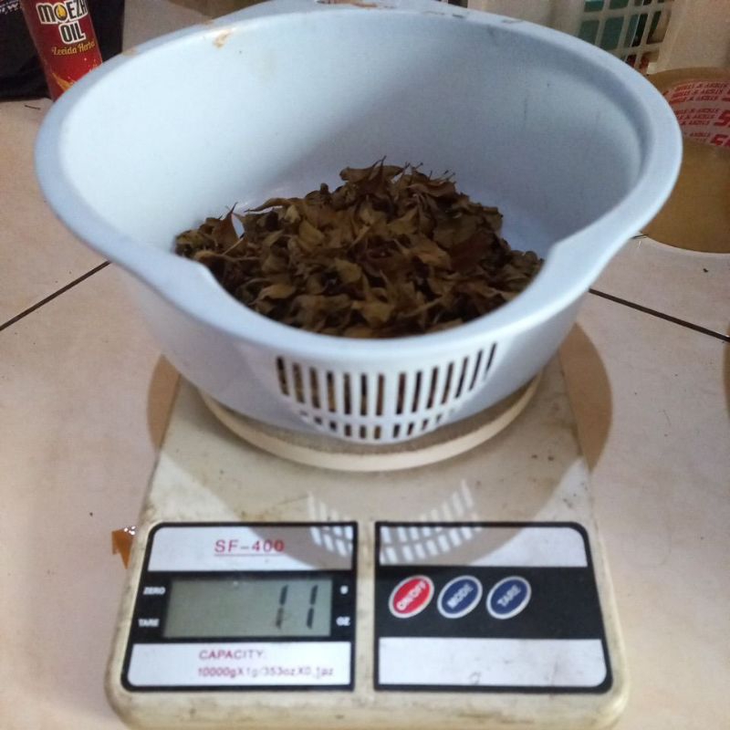 Jual Daun Henna Segar - Daun Inai - Pacar Kuku - Pewarna Kuku | Shopee ...