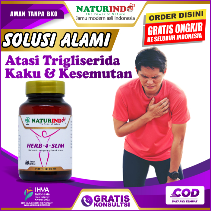 Jual HERB4SLIM OBAT LEMAK DARAH TRIGLISERIDA TINGGI OBAT HERBAL ...