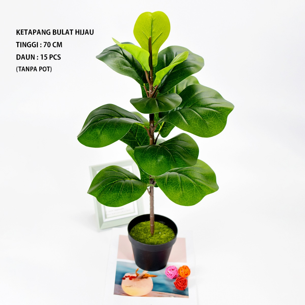 Jual Pohon Ketapang Biola Besar Semi Latex Tinggi 70 cm / Bunga plastik ...