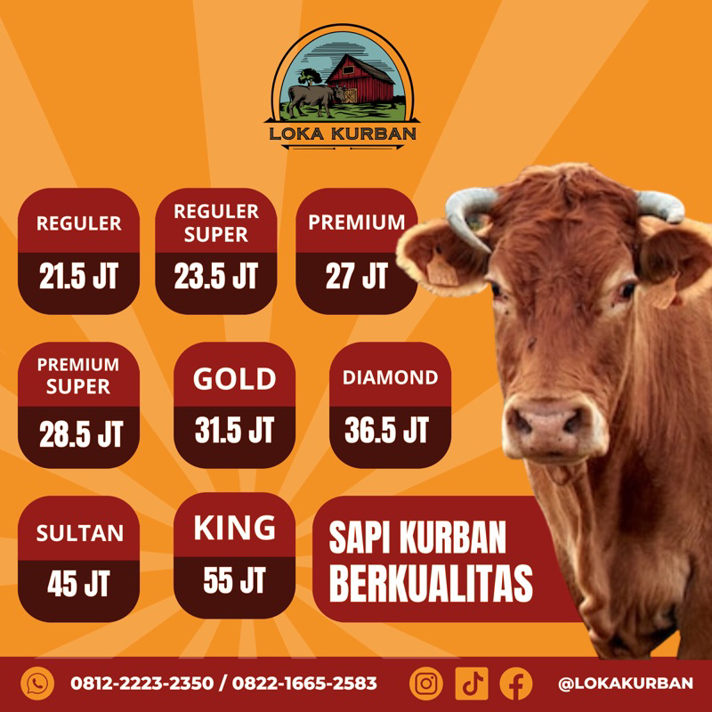 Jual Sapi Qurban - Loka Kurban | Shopee Indonesia