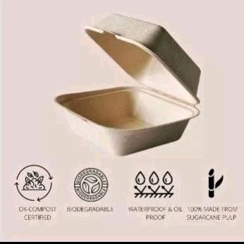 Jual (Palembang) Bagasse Box, bento cake box 10 cm kekinian (isi 6 pcs ...